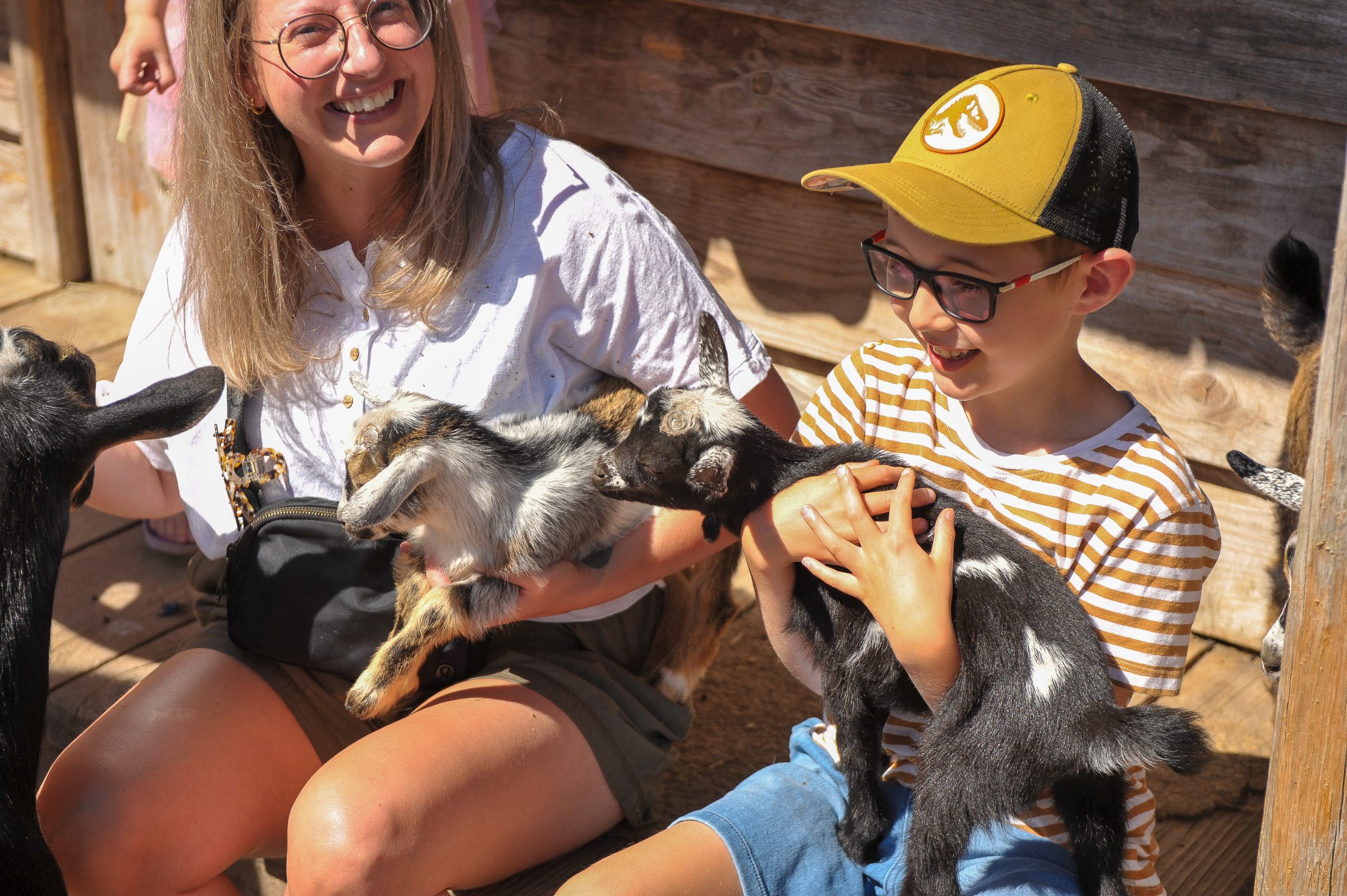 Goat Snuggles - Country Bee Honey Farm