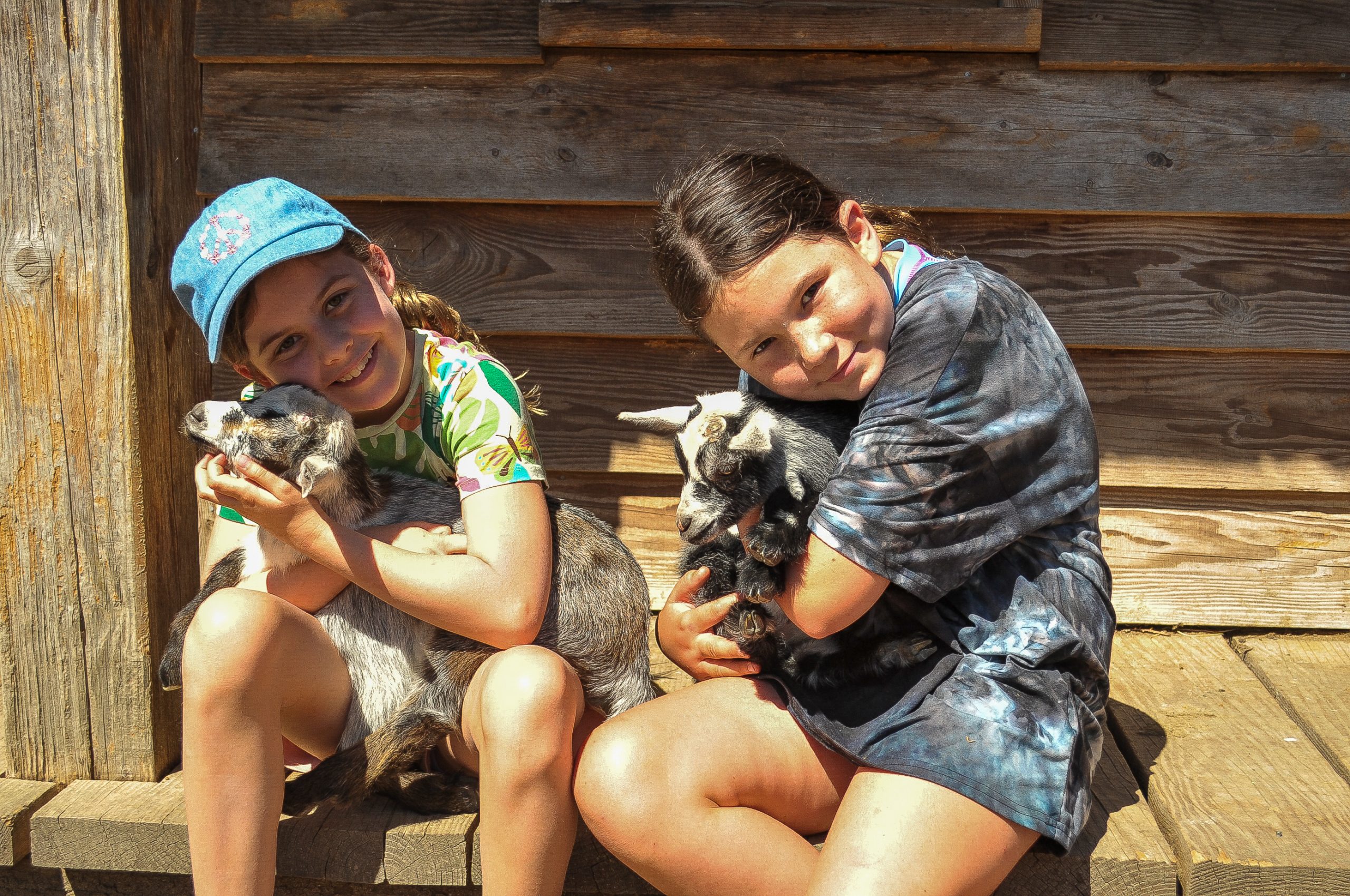 Goat Snuggles - Country Bee Honey Farm